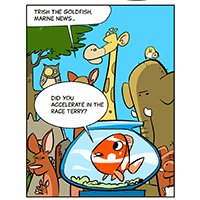 Speed, Velocity, and Acceleration - Library For Kids